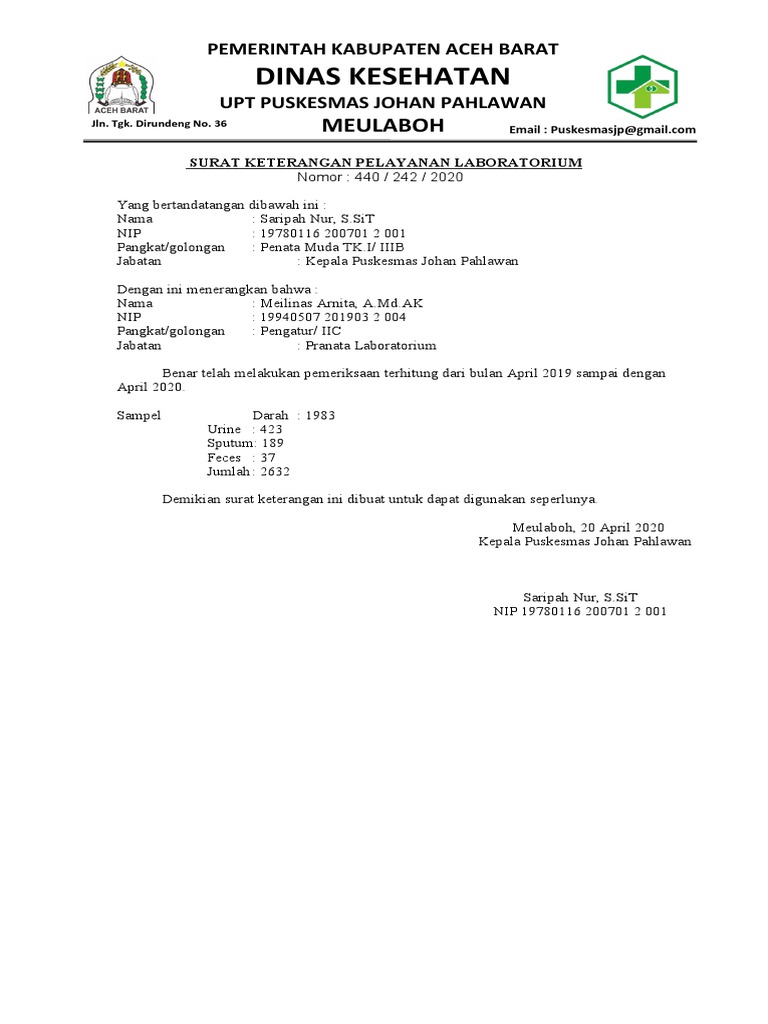 Surat Keterangan Pelayanan Laboratorium | PDF