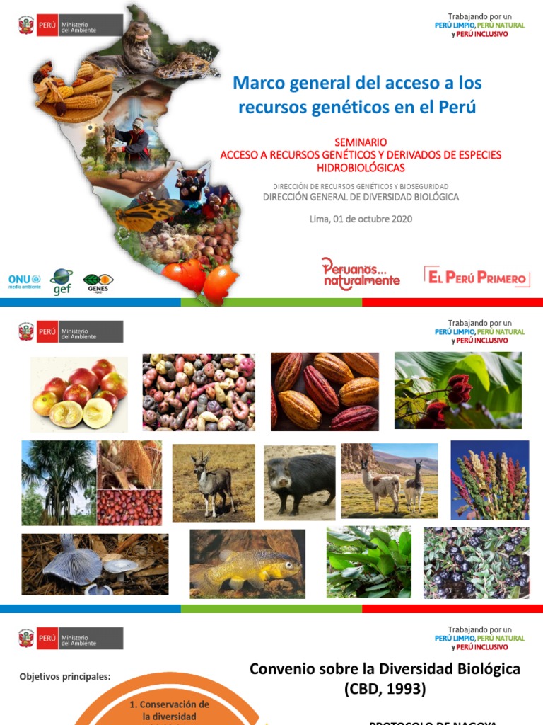 12 PPT SeminarioNagoyaProduce - AccesoReglam01.10.20 - JESSICA AMANZO | PDF