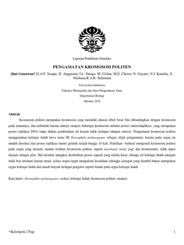 Pengamatan Kromosom Politen Drosophila | PDF