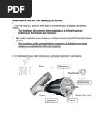 Exercise 2 Organ System Overview: BSN-1C | PDF | Human Body | Lymphatic ...