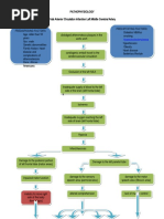 Stroke Pathophysiology Diagram | PDF