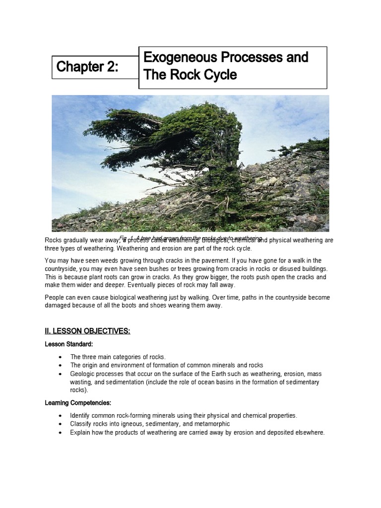 Weathering and Erosion Explained | PDF | Rock (Geology) | Weathering