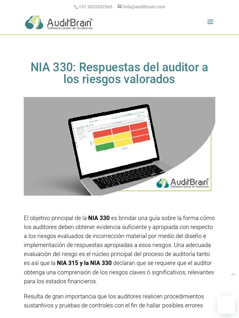 Nia 330 Respuestas Del Auditor A Los Riesgos Valorados Pdf