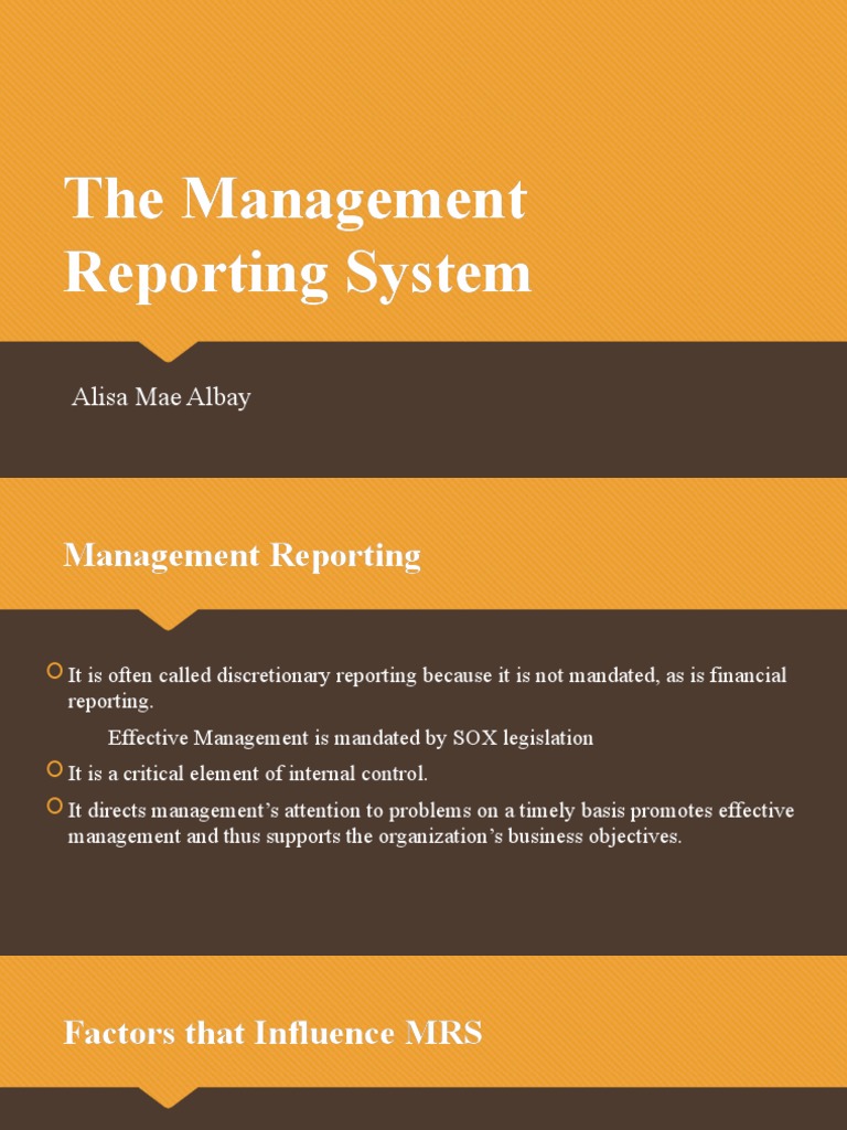 The Management Reporting System | PDF | Hierarchy | Strategic Planning