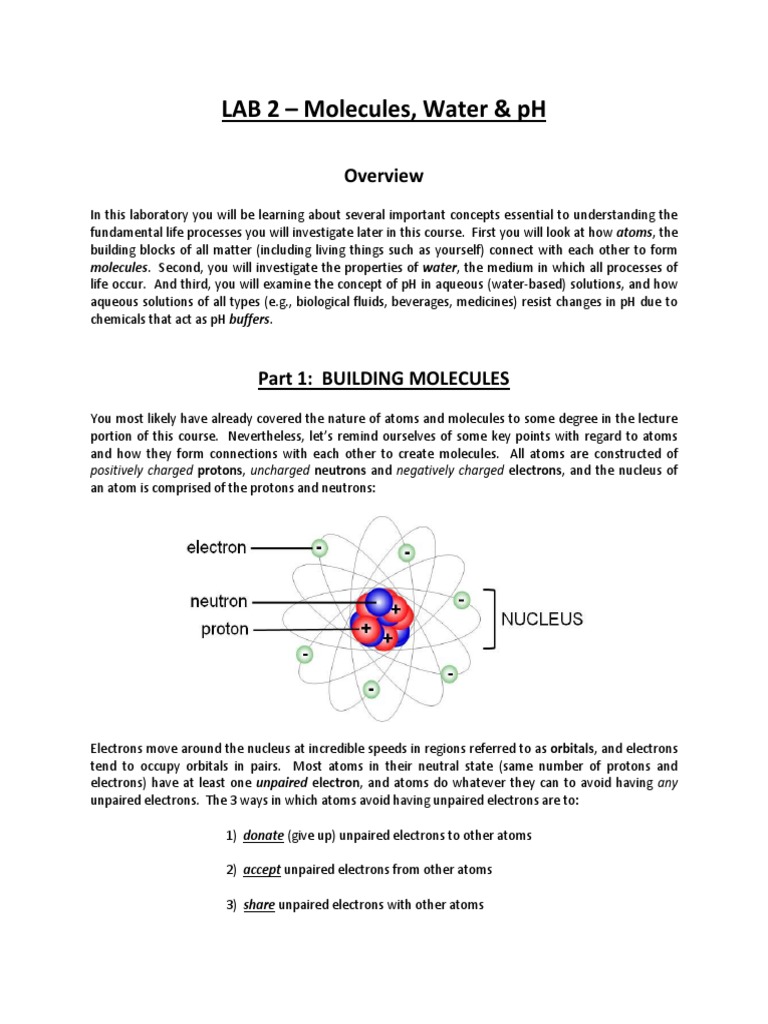 Bio3 Lab02-Fa12-Molecules Water PH | PDF | Chemical Bond | Ph