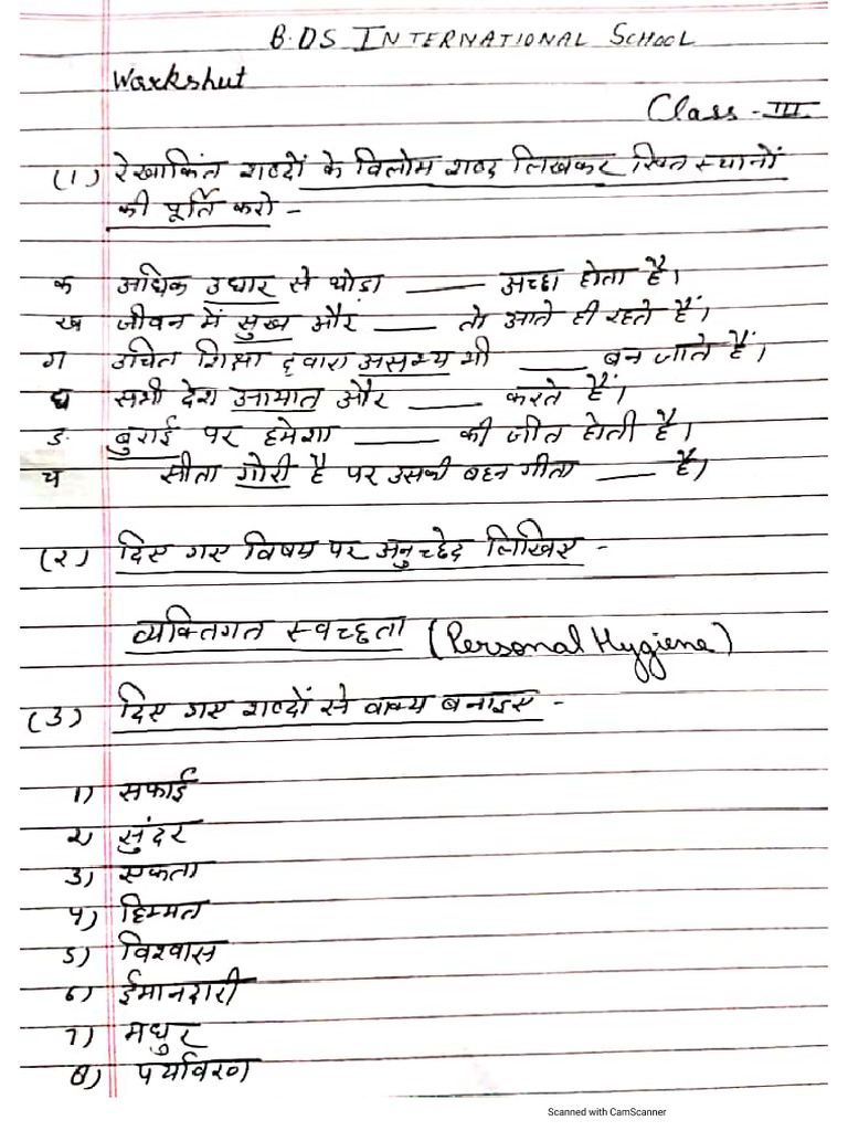 Class 3... Hindi Worksheet - 4 | PDF