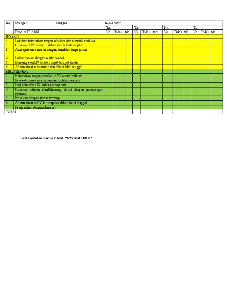 Form Audit Bundles PLABSI | PDF