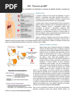 Quimo e Quilo | PDF | Digestão | Estômago