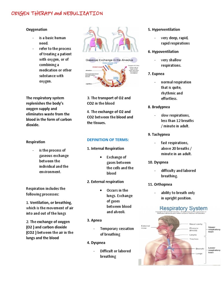 Oxygen Therapy and Nebulization | PDF | Respiratory Tract | Breathing