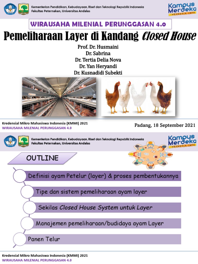 Budidaya Layer Di Kandang Closed House | PDF