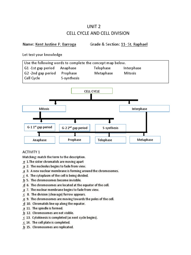 Cell Cycle and Cell Division | PDF | Mitosis | Cell Cycle