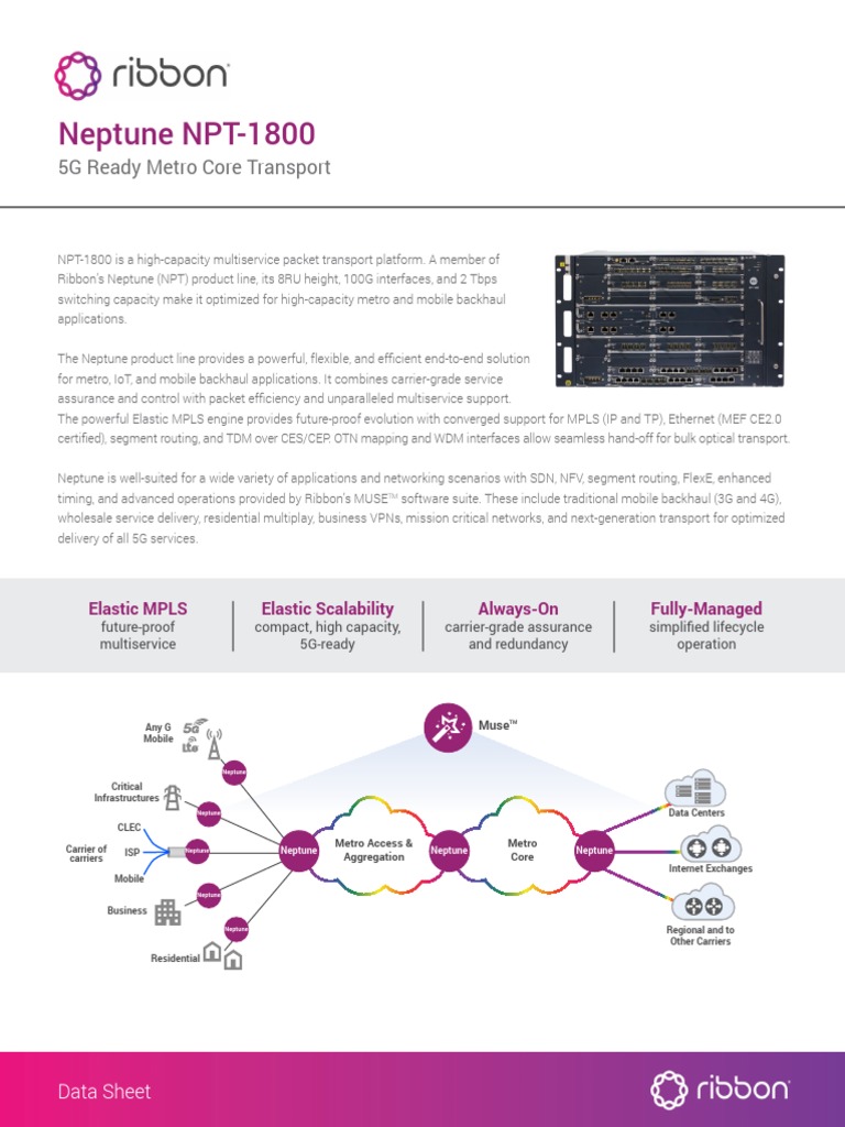 DS Neptune NPT-1800 | PDF | Networking | Multiprotocol Label Switching