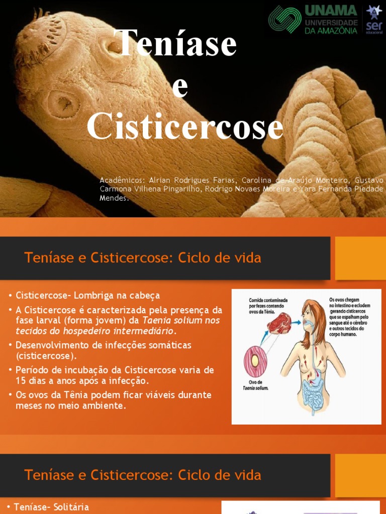 Teníase e Cisticercose: Ciclo de vida, sinais, sintomas, transmissão ...