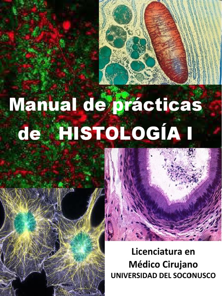 Manual de Practicas de Histologia I | PDF | Piel | Citoplasma