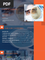 Toma Muestras. Abuso Sexual - Mapa Conceptual | PDF | Ciencias sociales | Autosuperación