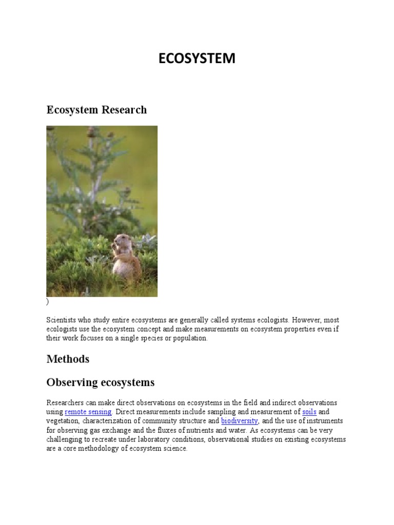 ECOSYSTEM | PDF | Ecosystem | Ecology