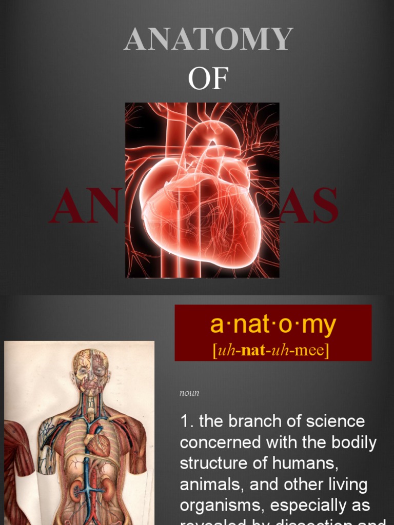 Part 1 - Anatomy of Anathas | PDF | Love | Patanjali