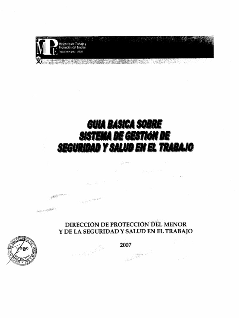 RM 148 2007 TR Guía Básica SGSST | PDF