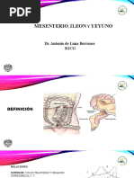 Protocolo Blue | PDF | Enfermedades y trastornos | Neumología