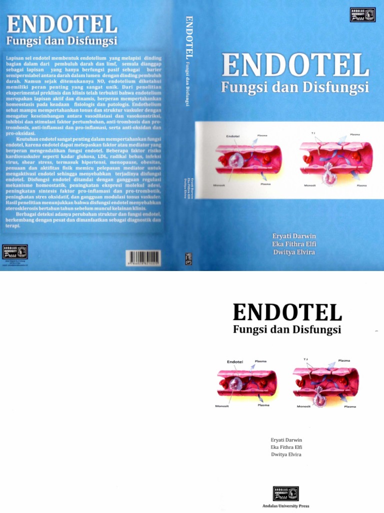 Buku Endotel - Fungsi Dan Disfungsi - E - Darwin - DKK | PDF