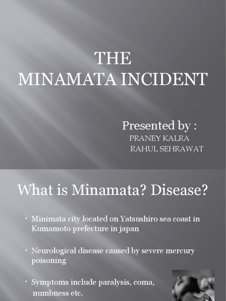 THE Minamata Incident: Presented by | PDF | Clinical Medicine | Mercury ...