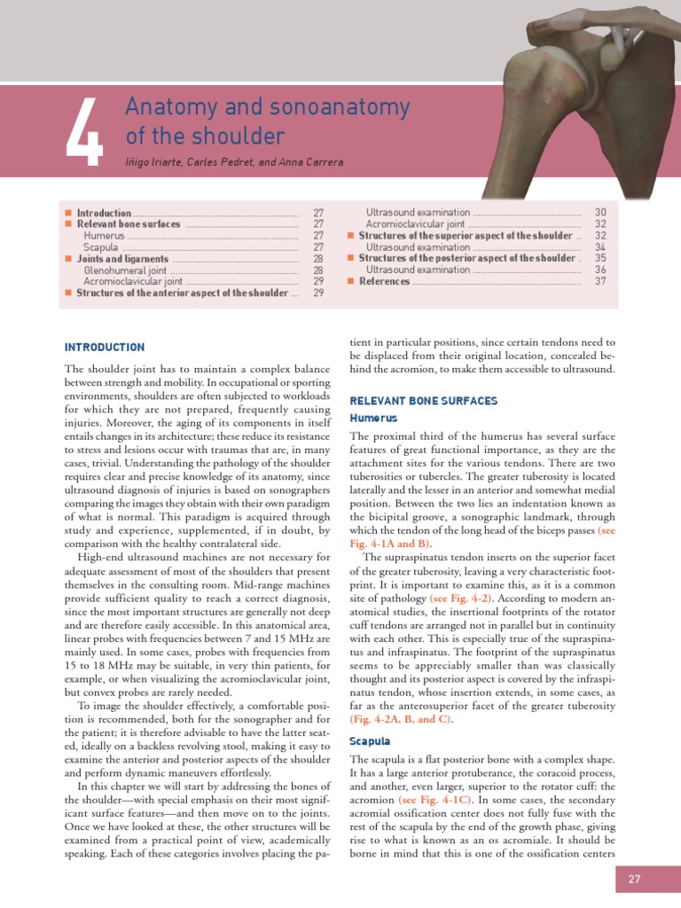 Anatomy and Sonoanatomy of The Shoulder: (See Fig. 4-1A and B) | PDF ...