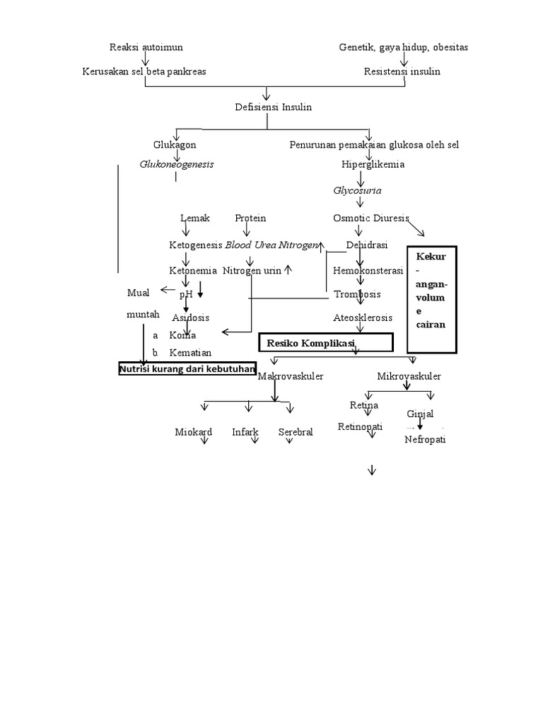 Patofisiologi Diabetes Melitus Tipe 2 | PDF