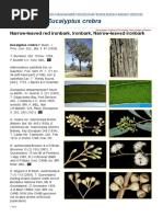 Au SC 1671439210 Australian Plant Adaptations - Ver - 1 | PDF ...