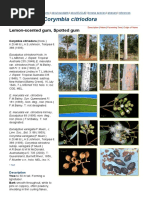 Au SC 1671439210 Australian Plant Adaptations - Ver - 1 | PDF ...