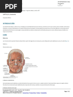 Triangulo de Farabeuf | PDF | Anatomía humana | Cabeza y cuello humanos