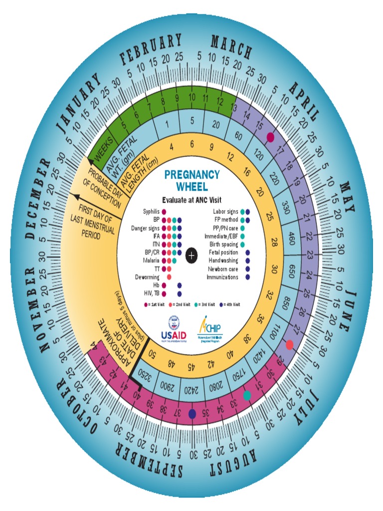 Pregnancy Wheel: Evaluate at ANC Visit | PDF | Childbirth | Postpartum ...