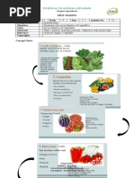 Ragdoll Method | PDF | Seed | Germination