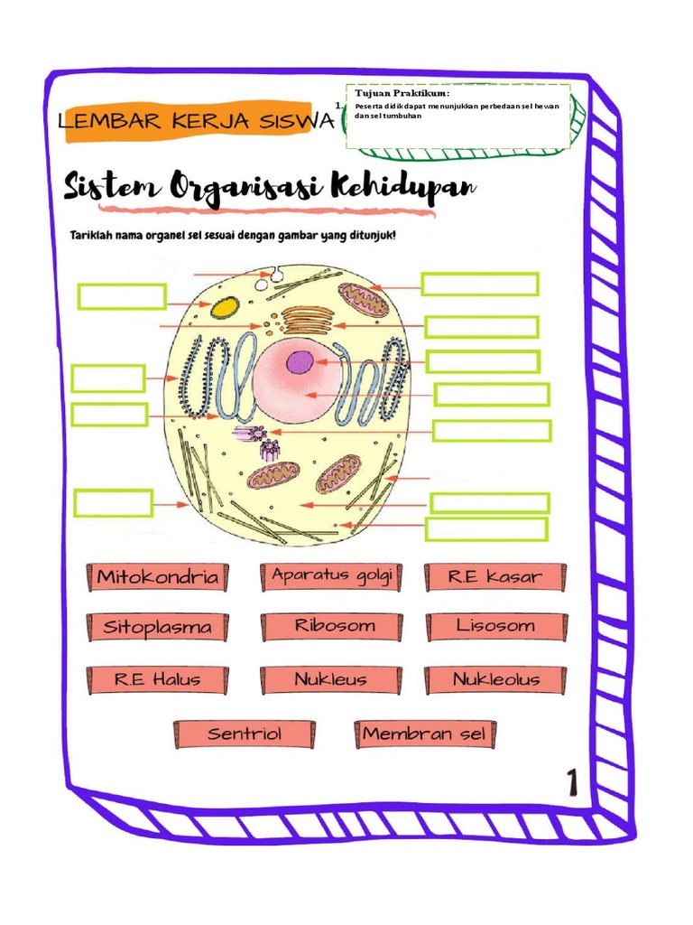LKPD Sel Dan Sel Hewan Dan Tumbuhan | PDF