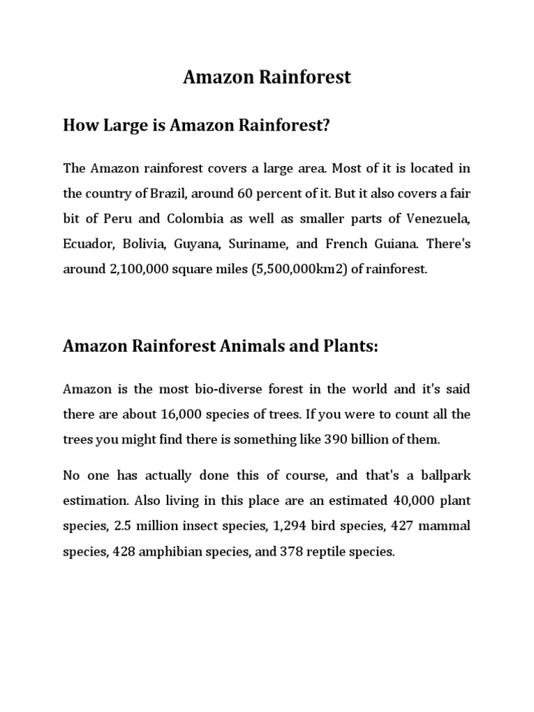 Deforestation of Amazon Rainforest | PDF | Amazon Rainforest ...