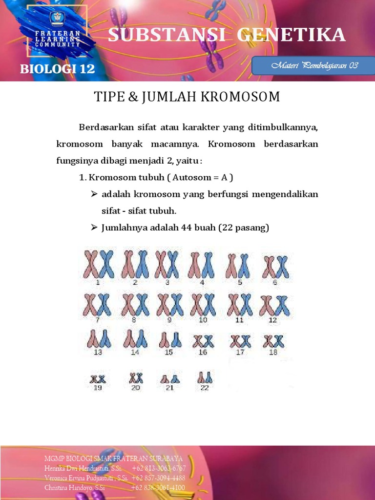 Klasifikasi dan Jenis Kromosom Manusia | PDF