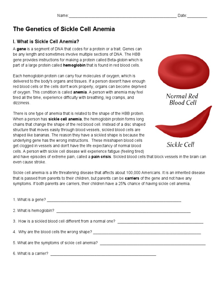 The Genetics of Sickle Cell Anemia | PDF | Nucleic Acid Sequence | Rna