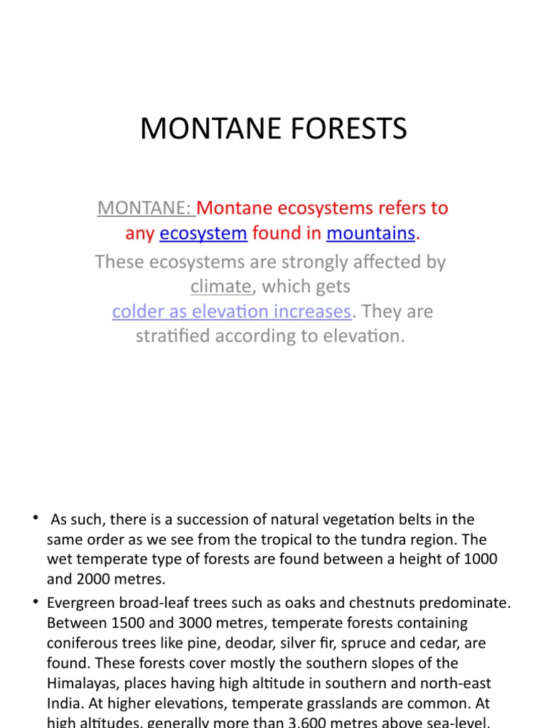 Montane Forests | PDF