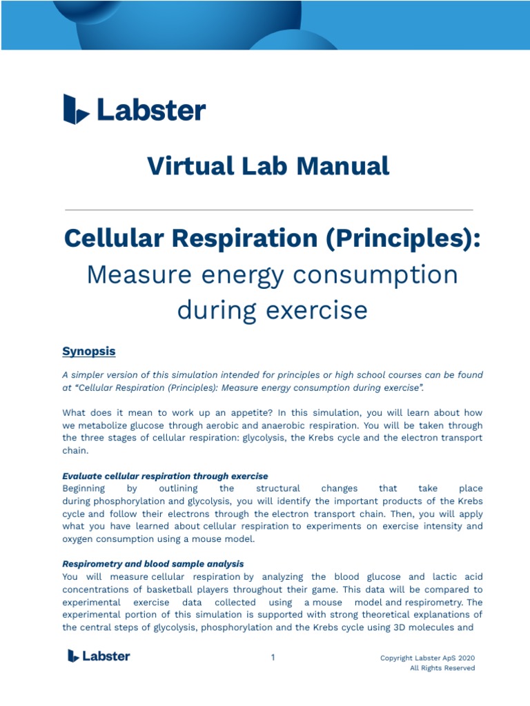 CRH Cellular Respiration (Principles) - Measure Energy Consumption ...