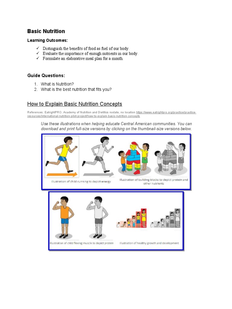 Nutrition Basics for Central America | PDF | Nutrients | Foods