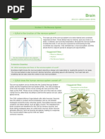 Neurodynamic Techniques (1) - David Butler & NOI Group | PDF ...