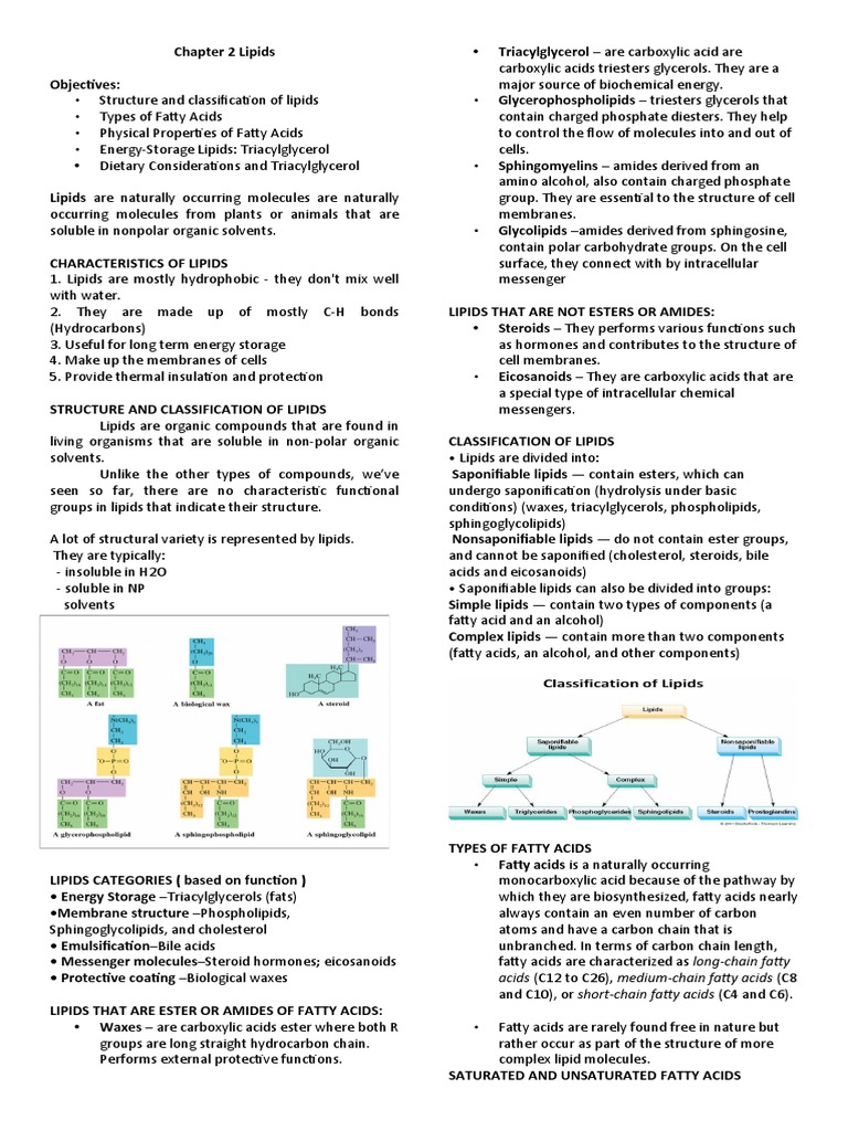 Overview of Lipids and Their Functions | PDF | Lipid | Fat