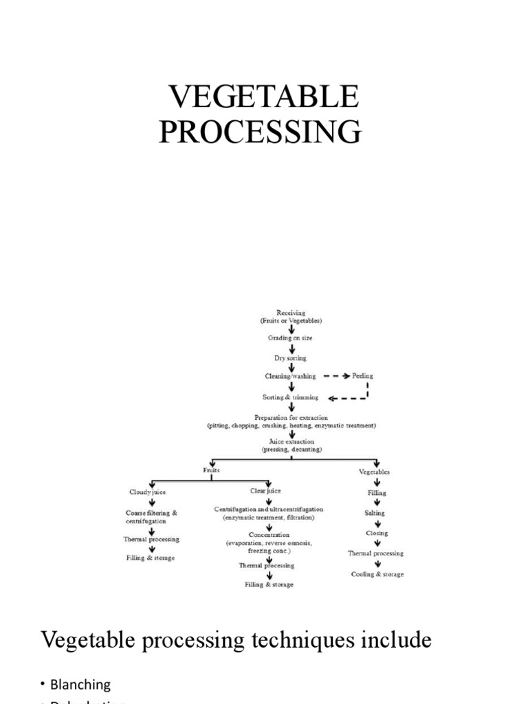 Vegetable Processing Techniques Explained | PDF | Vegetables | Food ...