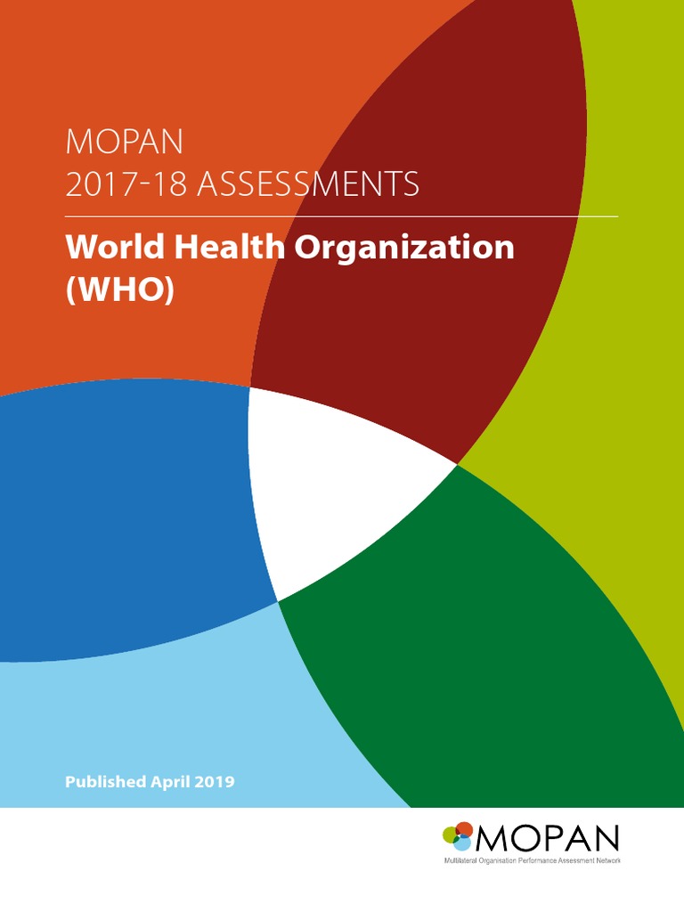 WHO Report | PDF | World Health Organization | Millennium Development Goals