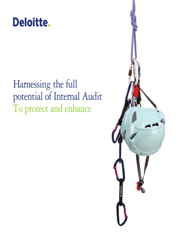 Harnessing The Full Potential of Internal Audit: To Protect and Enhance ...