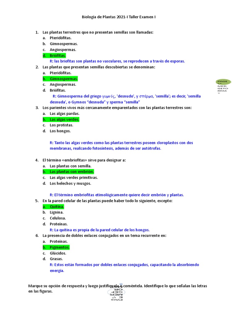 TallerExamen Biologia de Plantas. | PDF | Raíz | Plantas