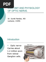Visual Pathway | PDF | Visual System | Cerebral Cortex