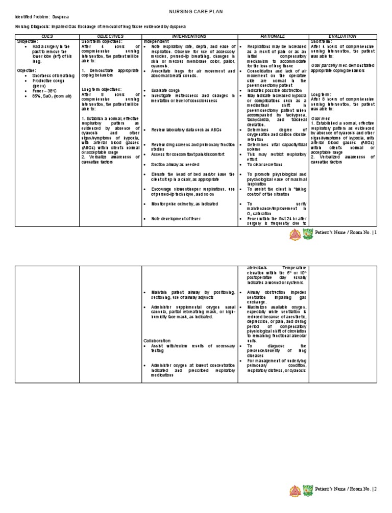 Overcoming Dyspnea Through a Comprehensive Nursing Care Plan | PDF ...
