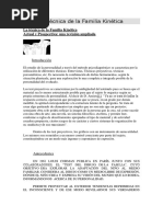 MANUAL DE TEST DE LA FAMILIA KINEtica | PDF | Temor | Dibujo