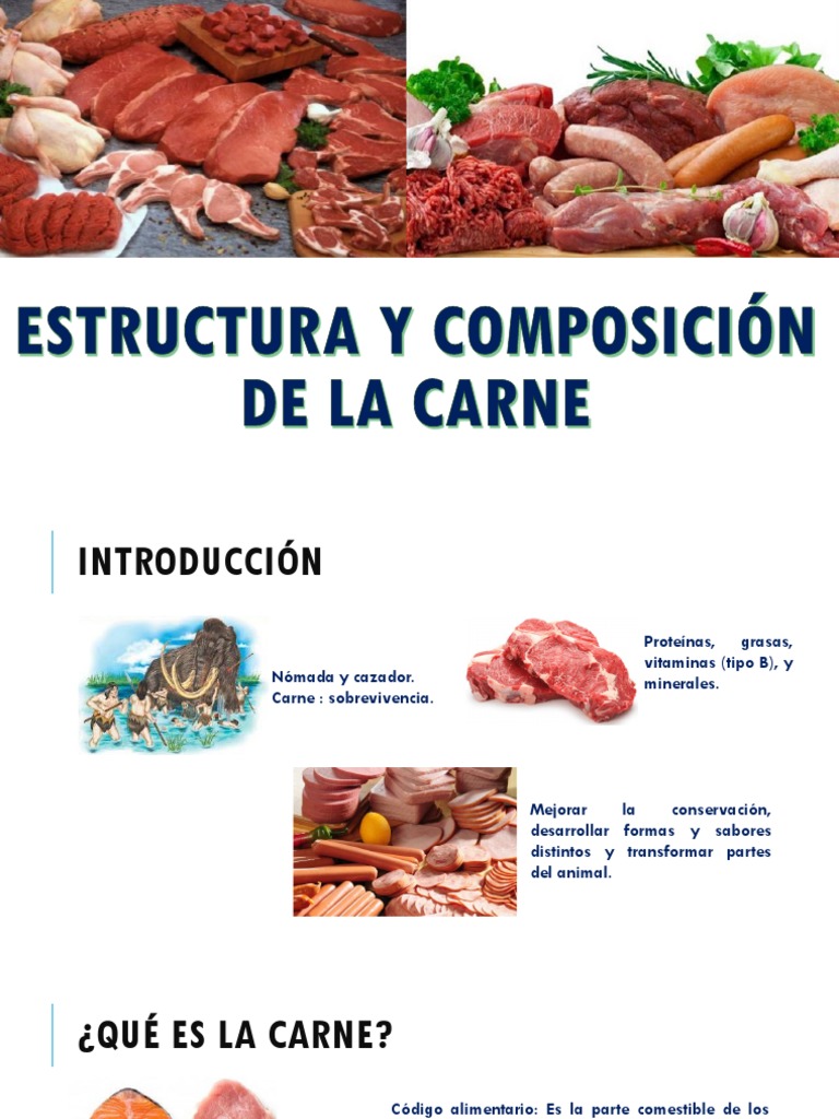Estructura y Composición de La Carne | PDF | Carne | Nutrición