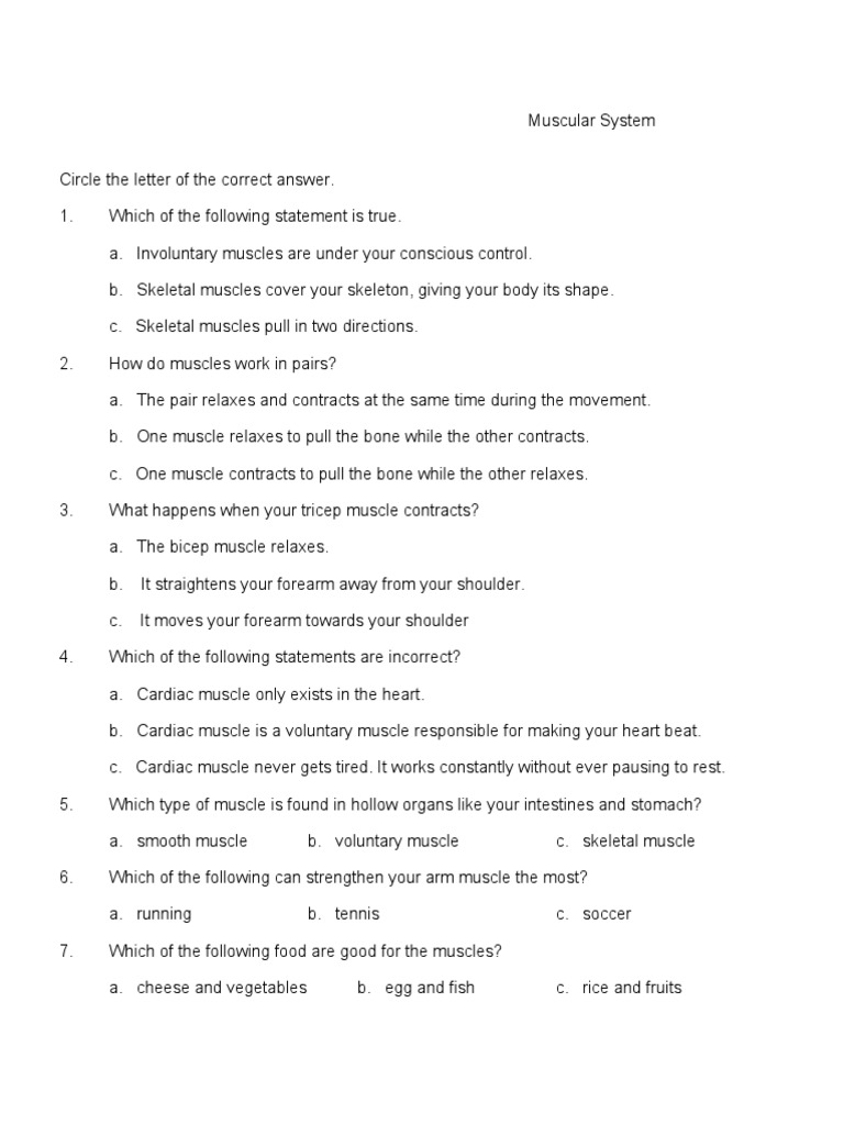 Muscular System Worksheet Grade 41 | PDF | Muscle | Skeleton